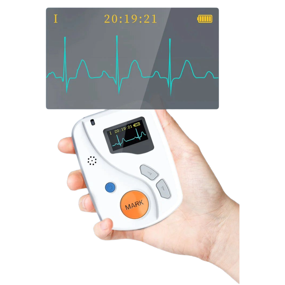 The Cardiologist's Guide To ECG Holter Monitors: Everything You Need To ...